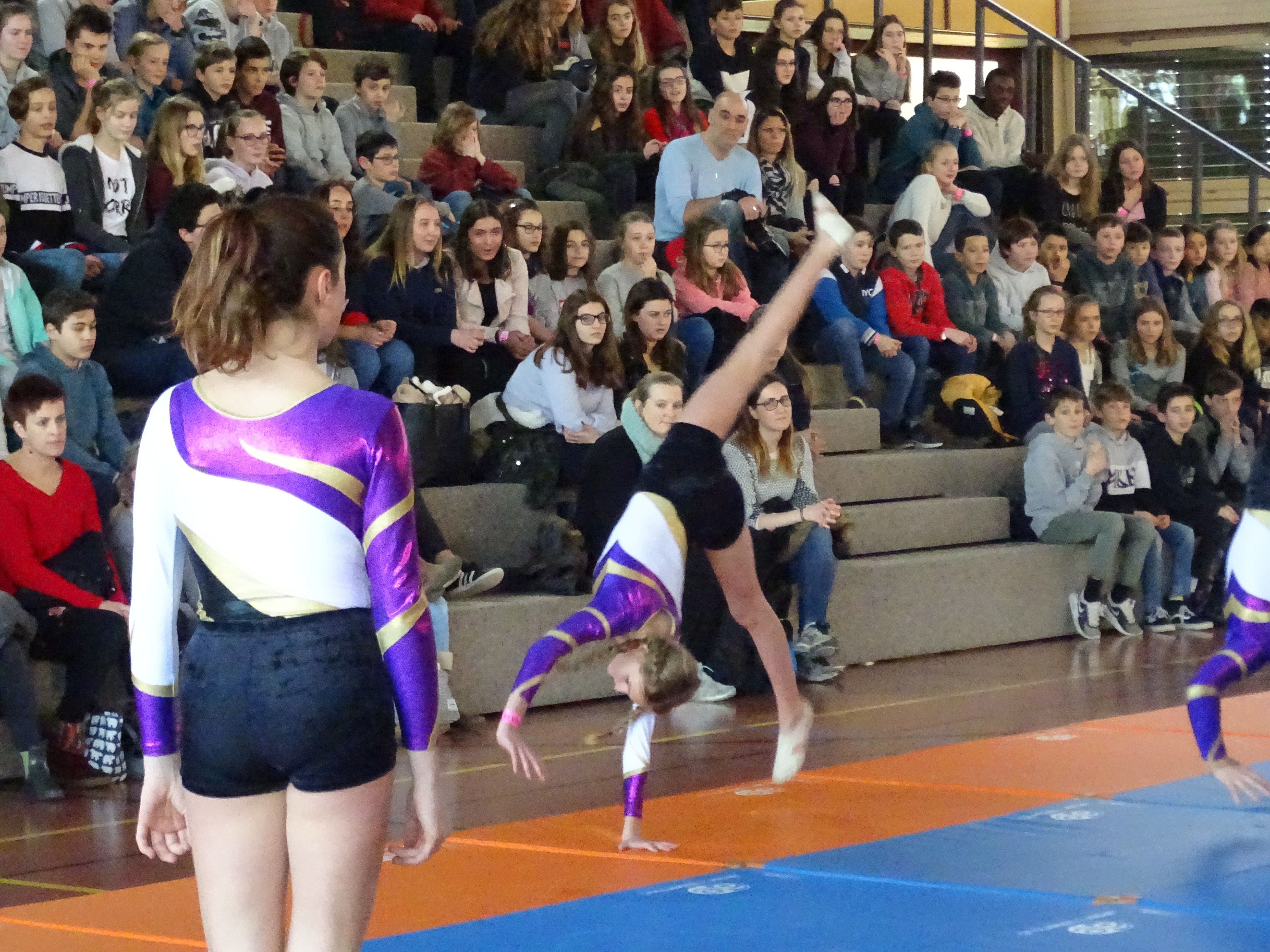 Journal de Cossonay – PAM Festival 2018 -Agrès | Journal de Cossonay